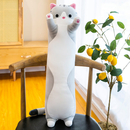Long Cat Plushies – Big Squishies